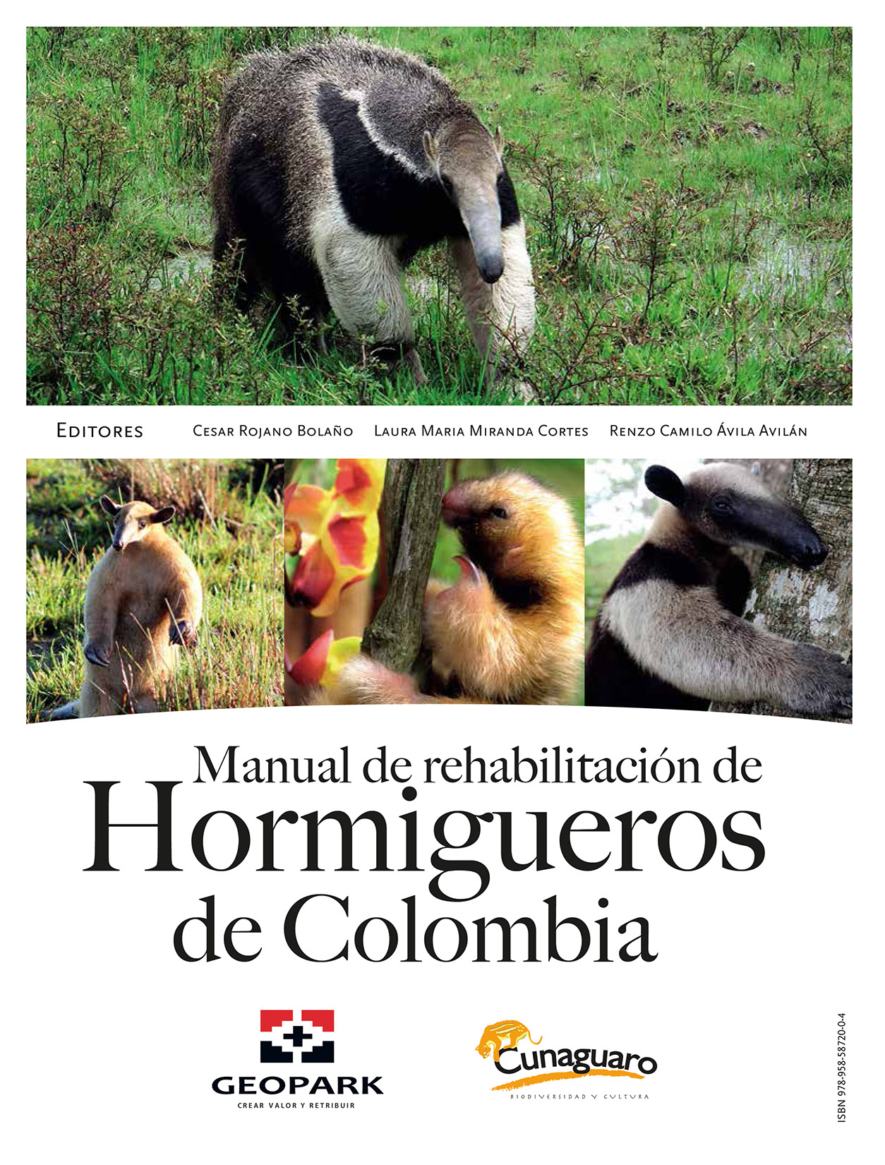 Destacan iniciativa de conservación de osos hormigueros en la Orinoquia ...